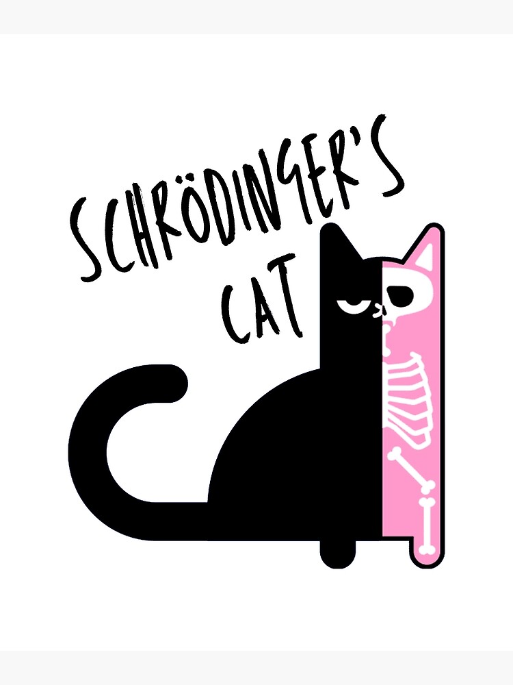 "Schrödinger's Cat" Poster for Sale by ClassyGeek1 | Redbubble