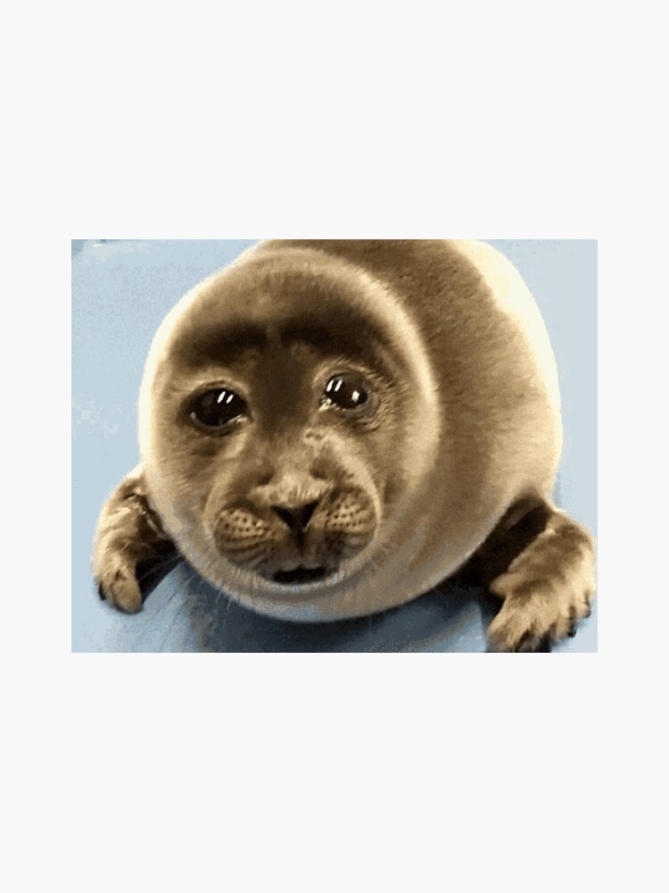 "HeWasForcedToEatCement" Sticker by fall1n1 | Redbubble