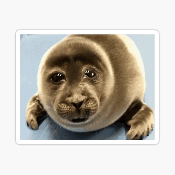 "HeWasForcedToEatCement" Sticker by fall1n1 | Redbubble