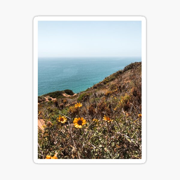 "Malibu Flowers" Sticker for Sale by hnhmarriedlife | Redbubble