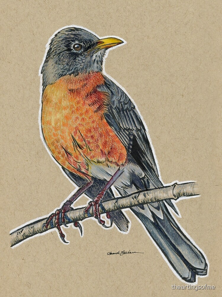 "State Bird Series: Connecticut - American Robin" Framed Art Print for ...