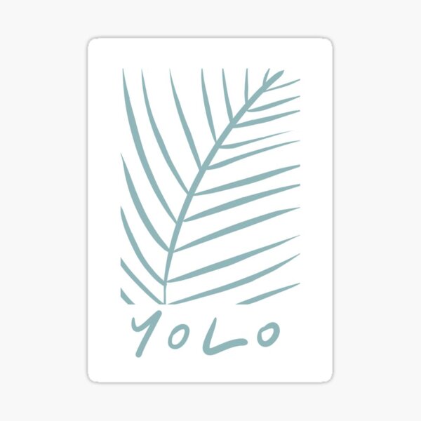 "Yolo" Sticker for Sale by artlfish | Redbubble