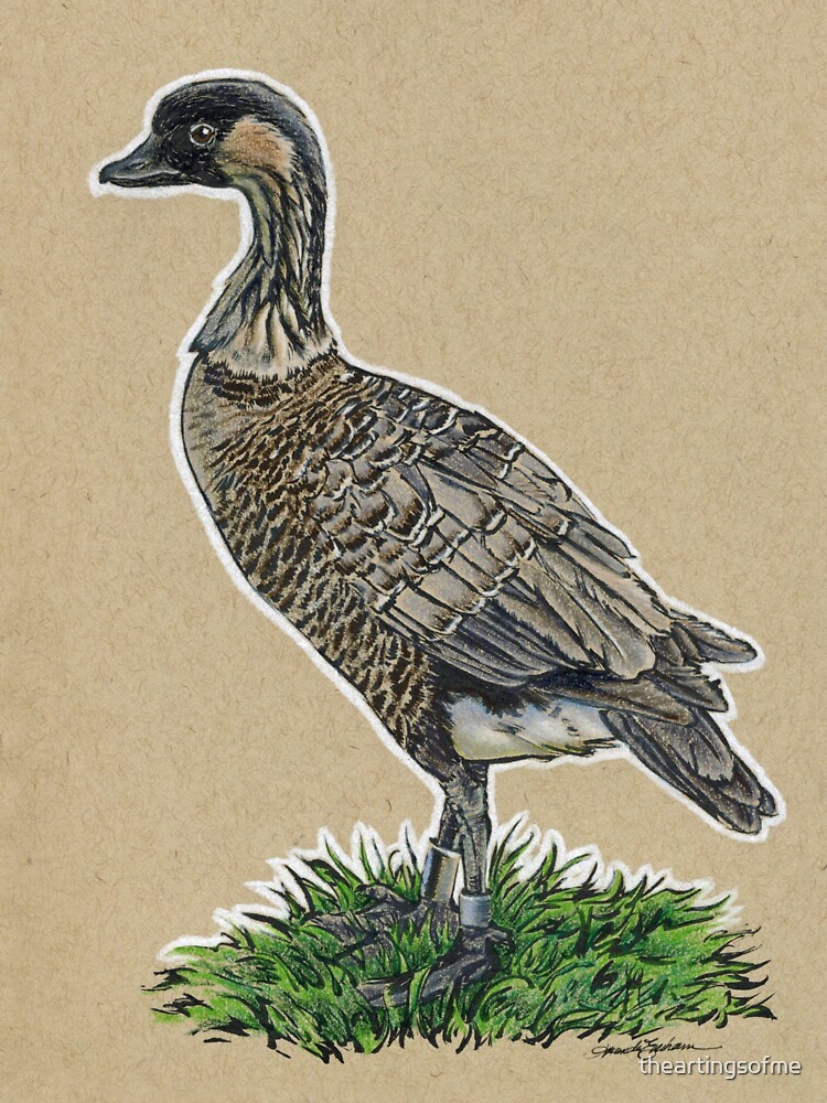 "State Bird Series: Hawaii - Hawaiian Goose (Nene)" Sticker for Sale by ...