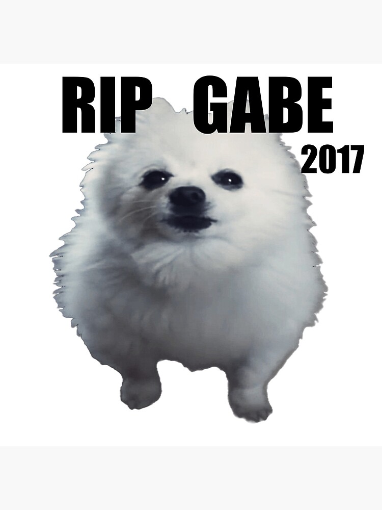 "RIP GABE THE DOG" Art Print by ShrededWeat | Redbubble