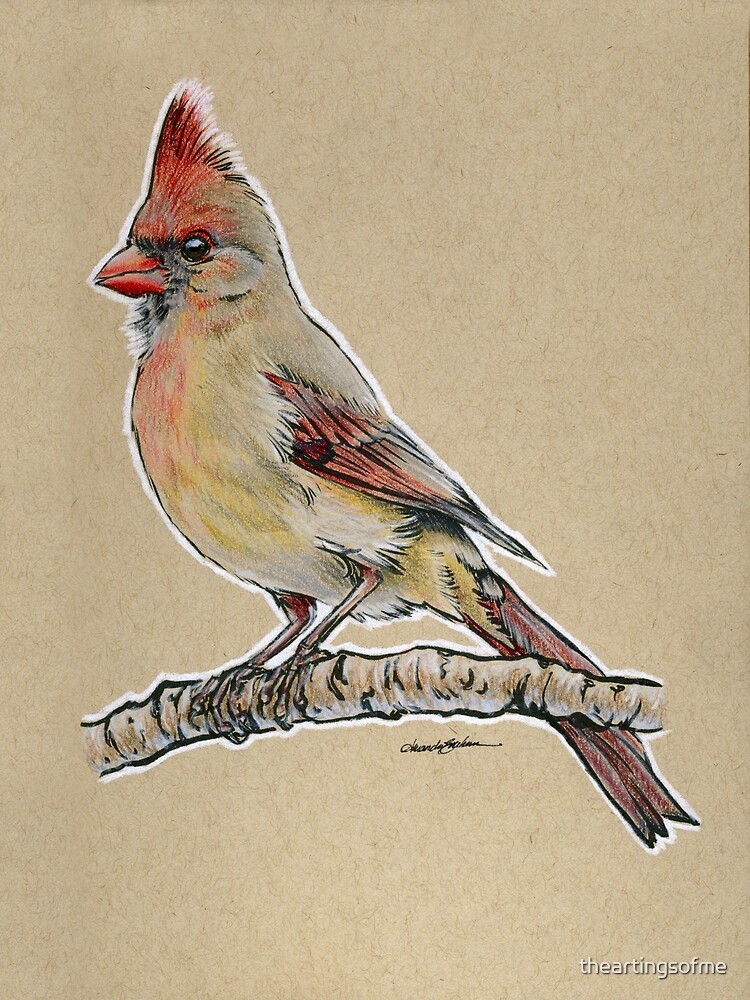 North Carolina State Bird Coloring Page