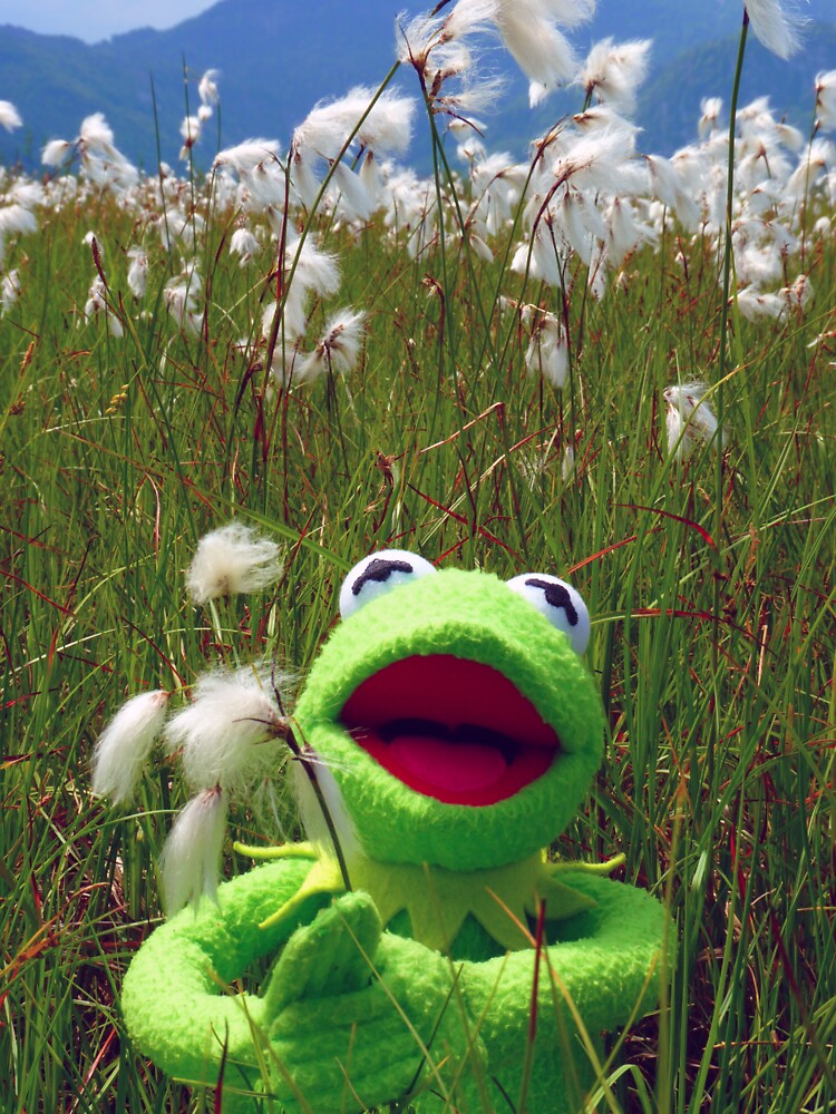 "Happy Kermit In Meadow" Sticker by andyrooroo | Redbubble
