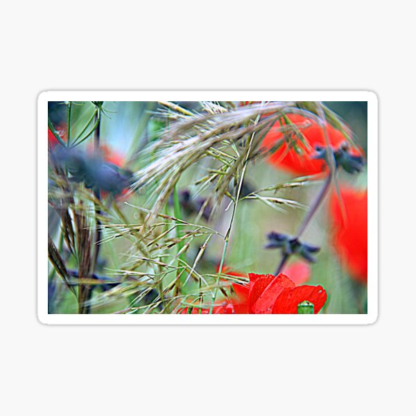 "Marvick" Sticker for Sale by gluca | Redbubble