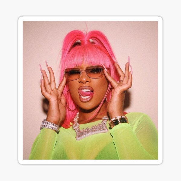 "Megan Thee Stallion " Sticker by JosieFlowerr | Redbubble