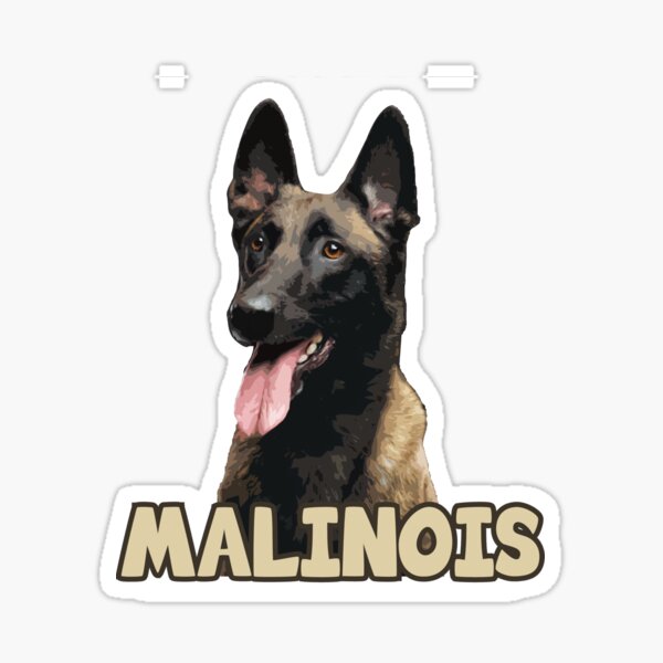 " Malinois Belgian dog lover malinois" Sticker by zoom31 | Redbubble