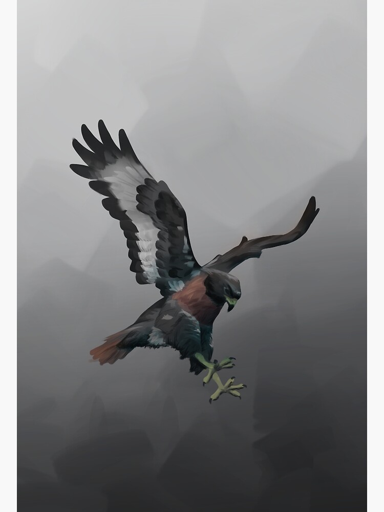 "Diving Hawk" Poster for Sale by NathanKim2145 | Redbubble