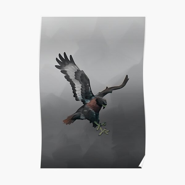 "Diving Hawk" Poster for Sale by NathanKim2145 | Redbubble