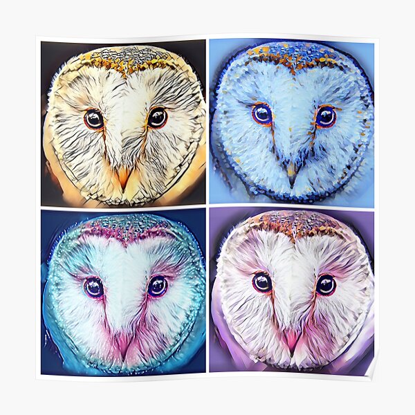 "Owl Stare" Poster for Sale by ManaFizzyFest | Redbubble