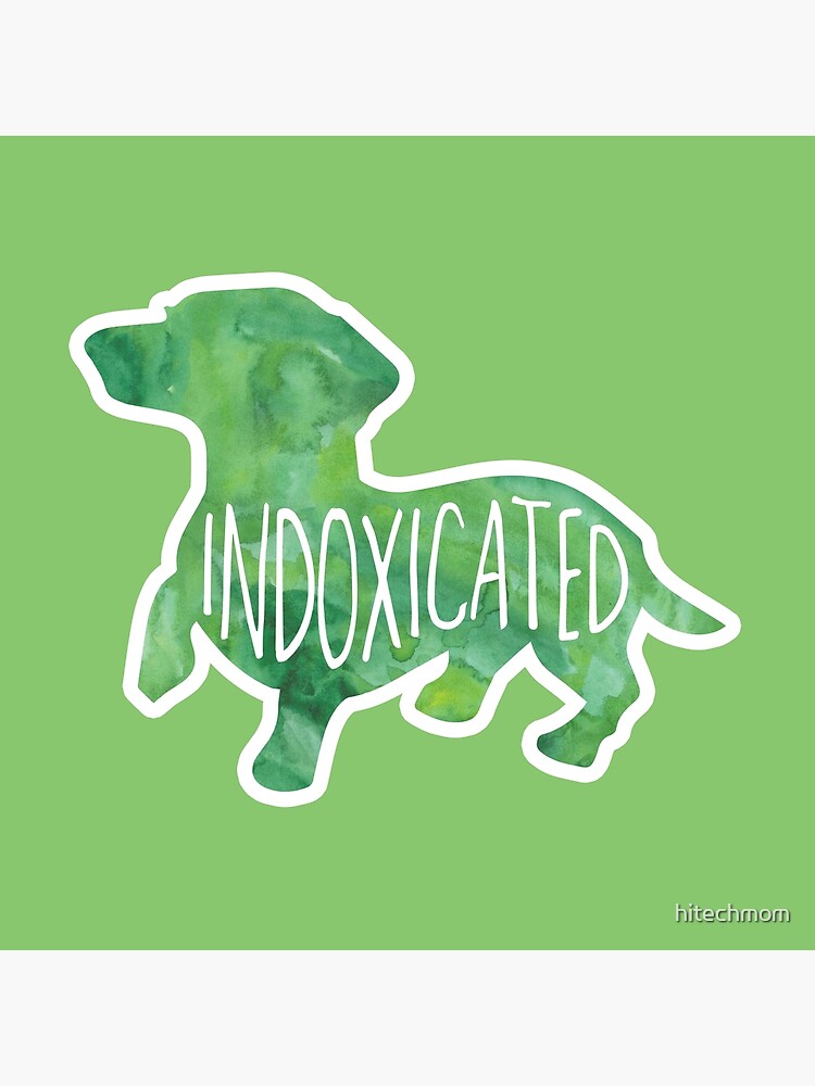 "InDOXicated (green) wiener dog sticker - dachshund dog sticker ...