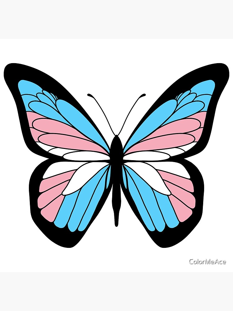 "Trans Butterfly " Poster for Sale by ColorMeAce | Redbubble