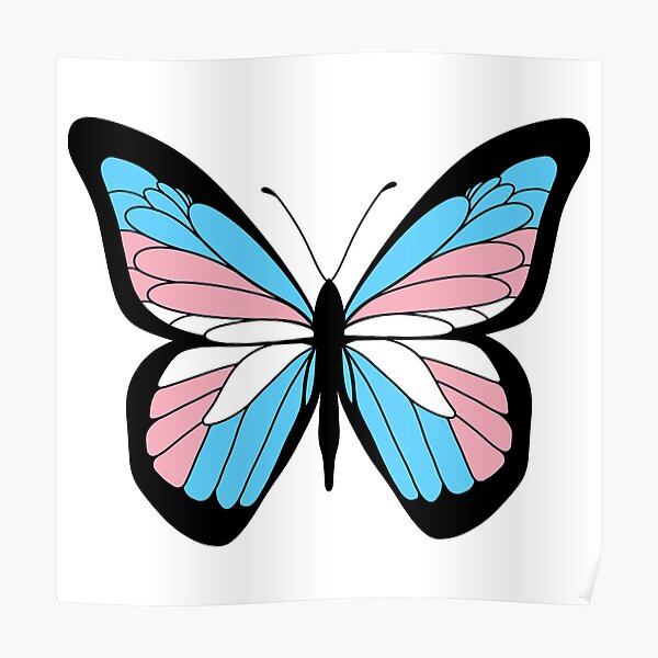 "Trans Butterfly " Poster for Sale by ColorMeAce | Redbubble