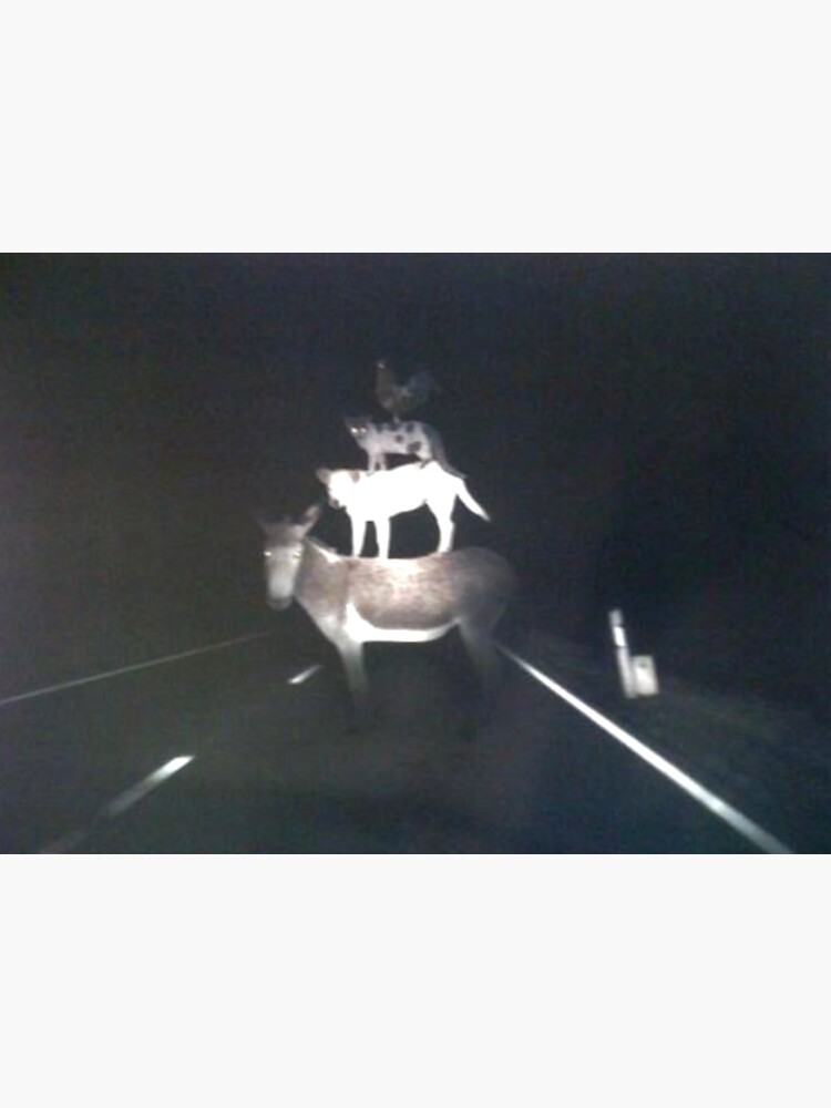 "Animal Stack " Sticker by DrDude50 | Redbubble