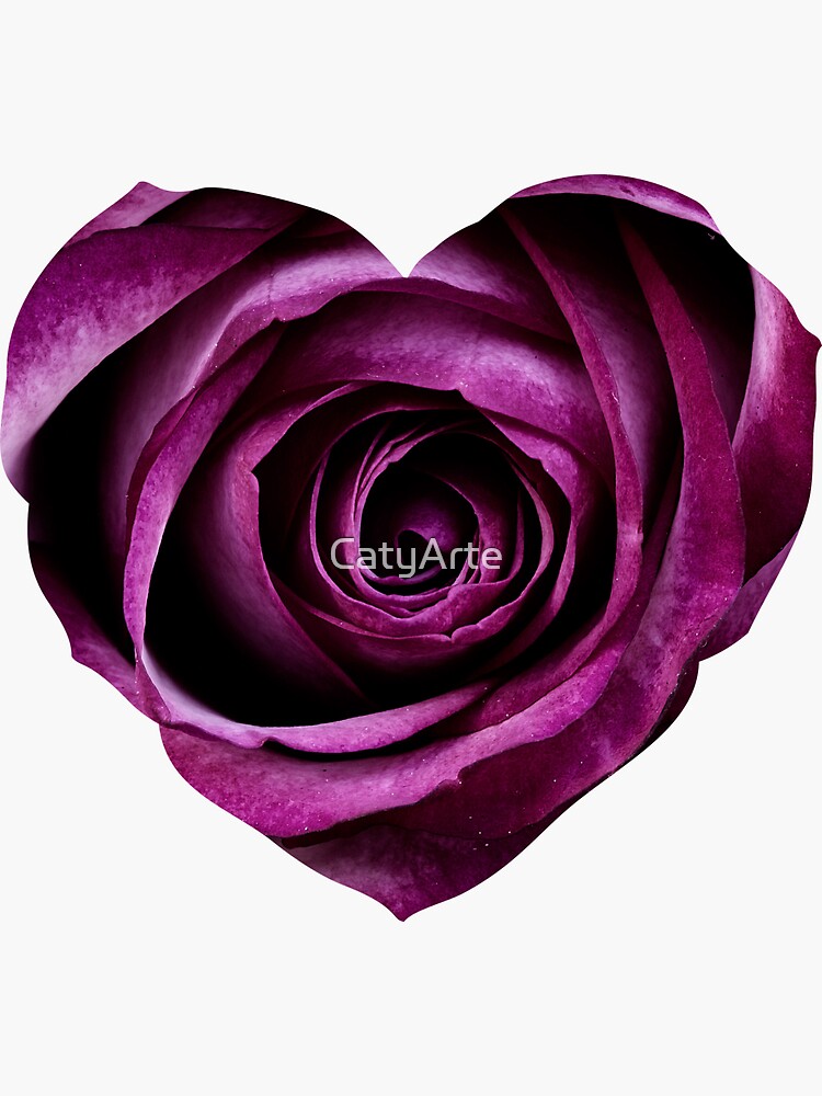 "Purple Rose" Sticker for Sale by CatyArte | Redbubble