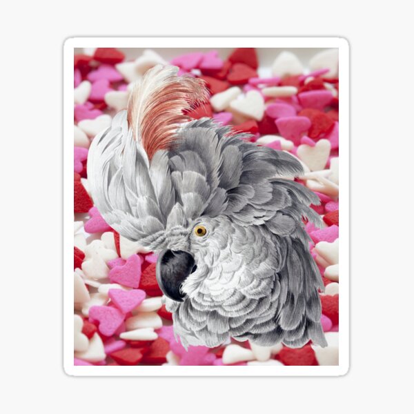 "Abstract Cockatoo Art-Bird Art-Artistic Designs-Home decor" Sticker ...
