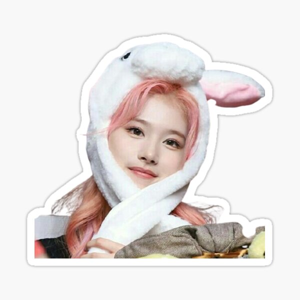 "sana bunny hat" Sticker for Sale by saturnirl | Redbubble