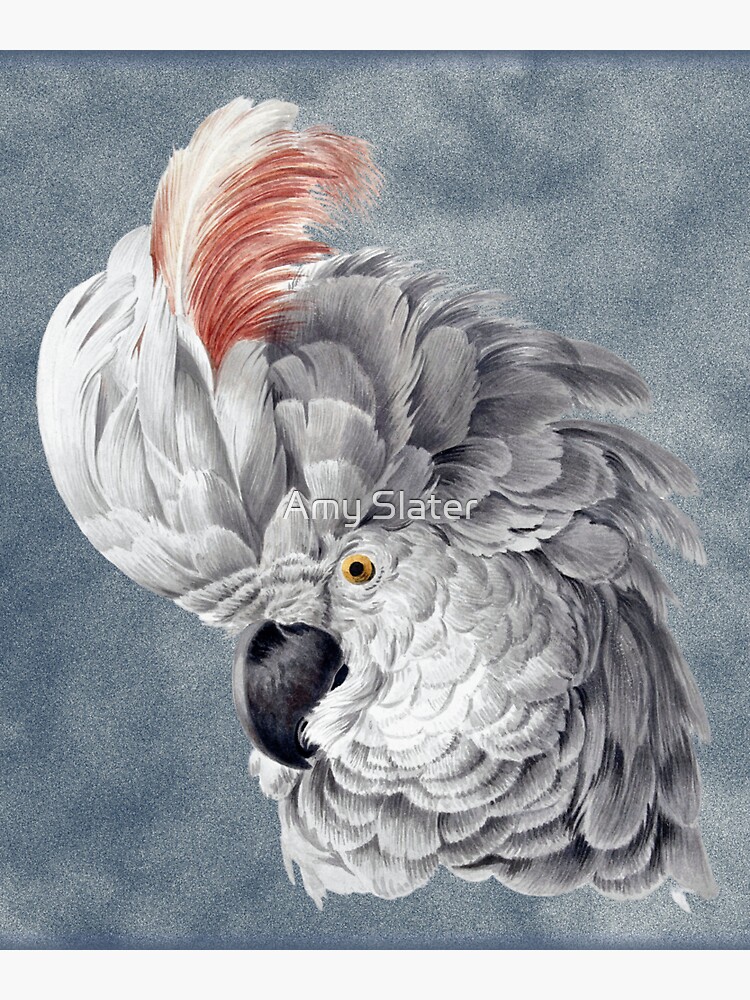"Abstract Cockatoo Art-Bird Art-Artistic Designs-Home decor" Sticker by ...