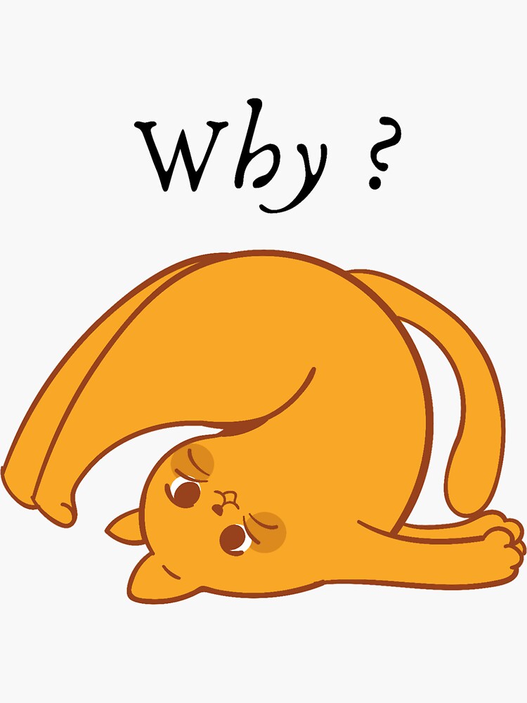 "Cat why? - cat decals" Sticker for Sale by BiSTi | Redbubble