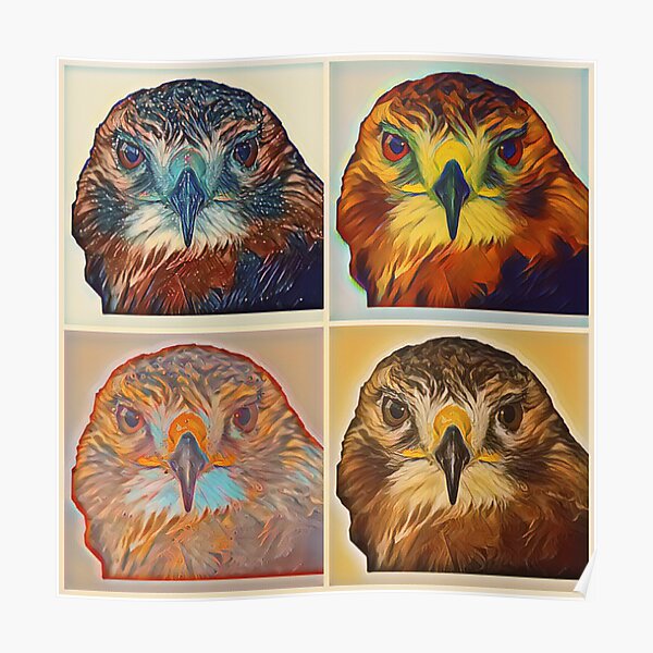 "Vintage hawk" Poster for Sale by ManaFizzyFest | Redbubble