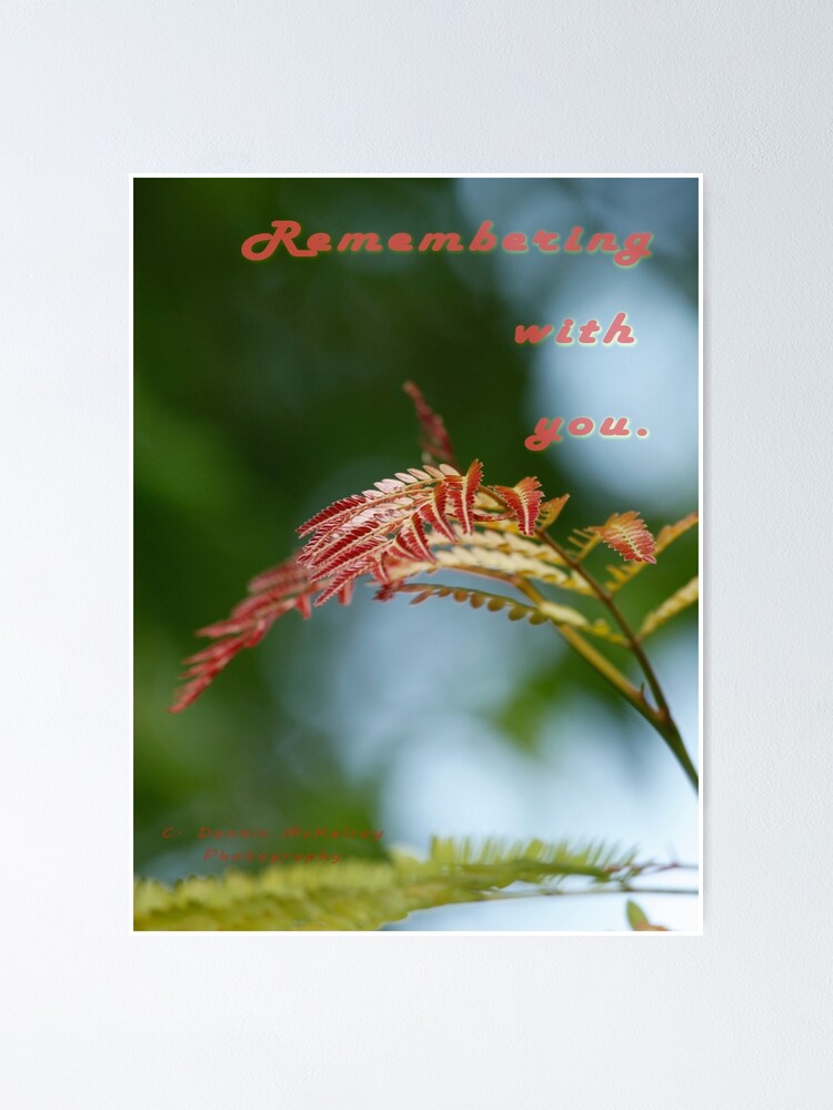 "Remembering" Poster for Sale by Cmckelroy | Redbubble