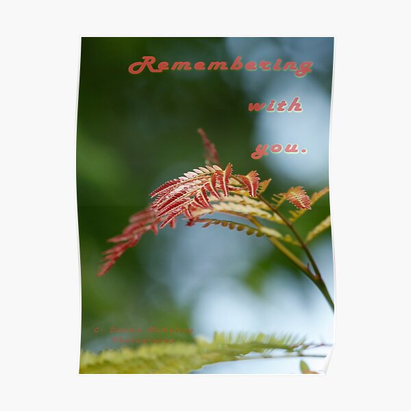 "Remembering" Poster for Sale by Cmckelroy | Redbubble