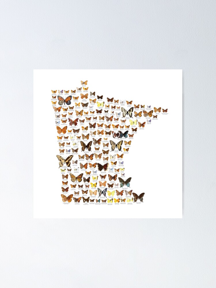 "Minnesota Butterflies Poster" Poster for Sale by andybirkey | Redbubble