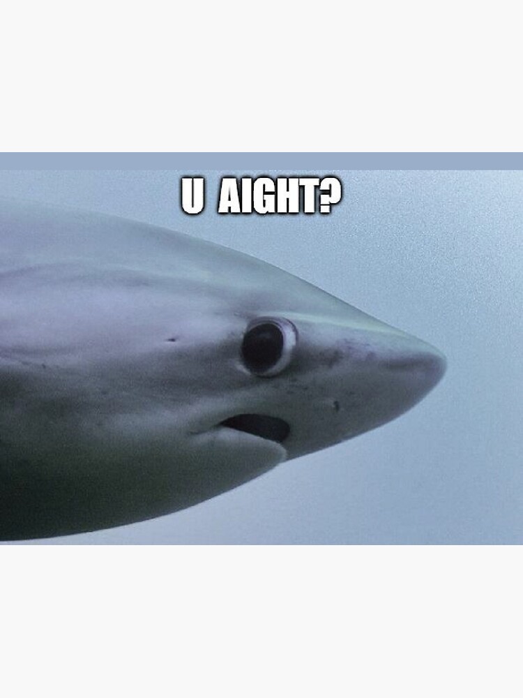 "Nervous Shark that Cares" Poster for Sale by DaBusyBees | Redbubble