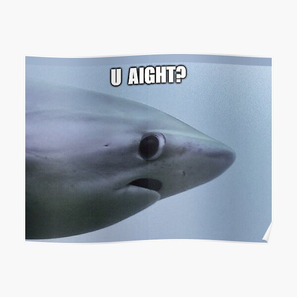 "Nervous Shark that Cares" Poster for Sale by DaBusyBees | Redbubble