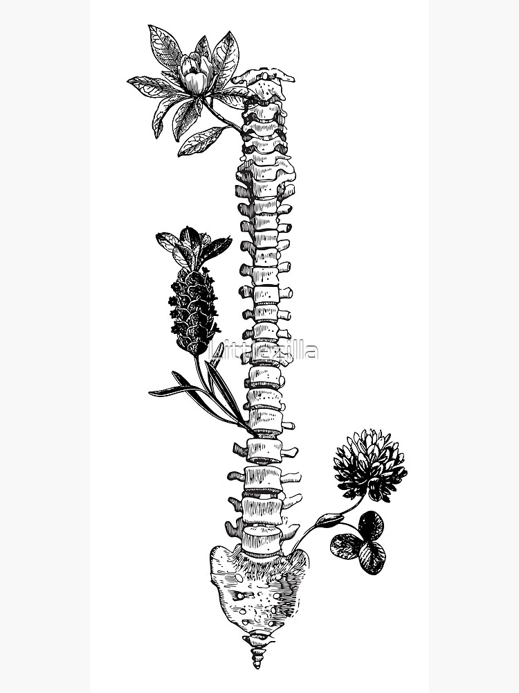 "Spine and flowers engraved illustration" Poster for Sale by ...