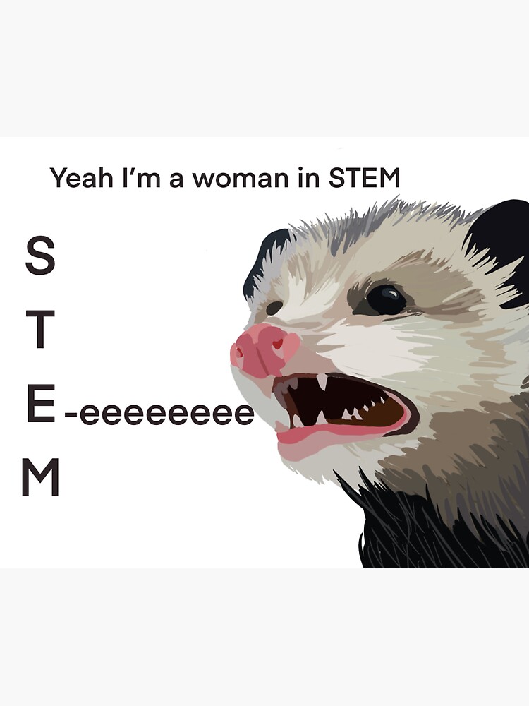 "Woman in stem possum meme" Sticker for Sale by LadyLettuce | Redbubble