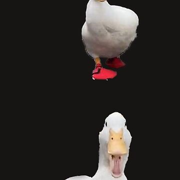 "Duck Running NYC Marathon 2021 - Wrinkle The Duck Marathon - duck runs ...