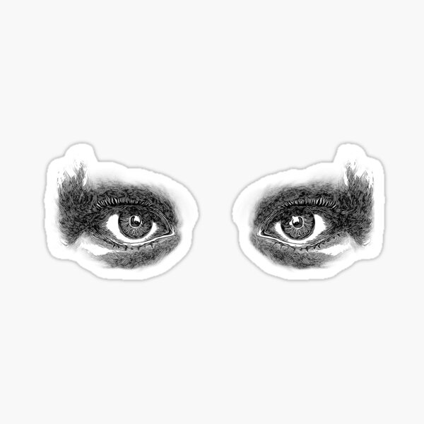 "Angry eyes" Sticker for Sale by Kyradem | Redbubble
