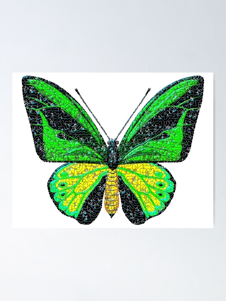 "Birdwing Tropical butterfly" Poster for Sale by Elonium | Redbubble