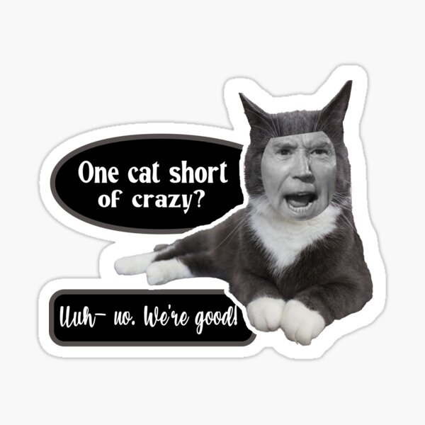 "ONE CAT SHORT OF CRAZY UUH NO ~ CAT STICKERS OF ANGRY CAT GRAY CAT ...