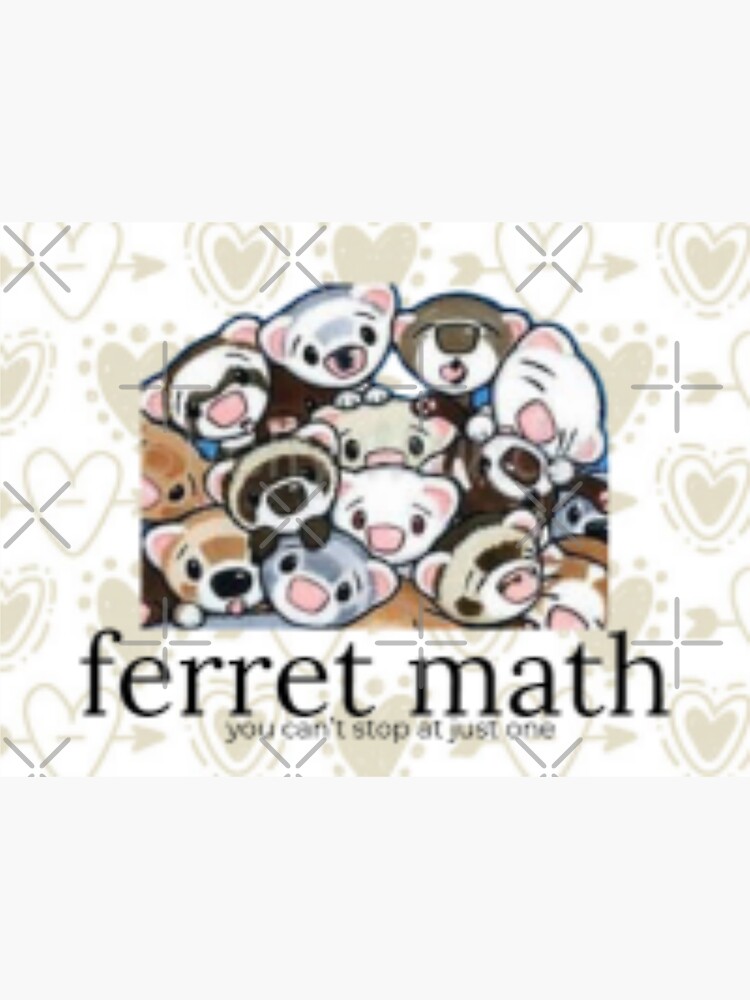 "ferret math" Sticker by momacta70 | Redbubble