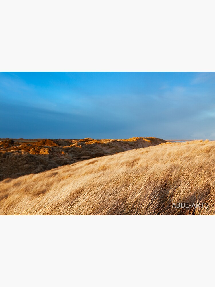"Linear sand dunes Scottish landscape photography" Sticker by ADBE-ARTS ...