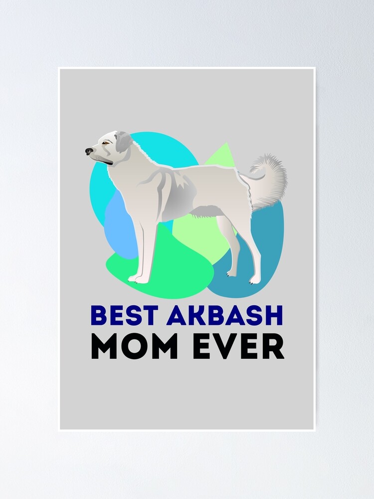 Cuanto Cuesta Un Cachorro Akbash