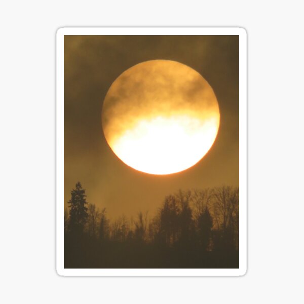 "A spooky forest moon" Sticker by KKersten | Redbubble