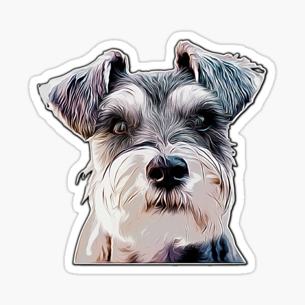 "Mini Schnauzer Portrait" Sticker by tchilipepper | Redbubble
