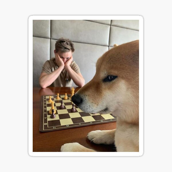 "Chess dog" Sticker for Sale by MattFelix | Redbubble