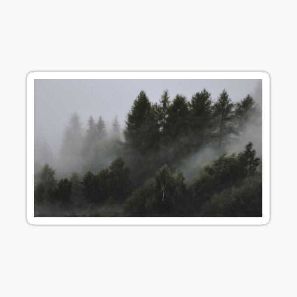 "forest fog trees green winter" Sticker for Sale by CervantesArte20 ...