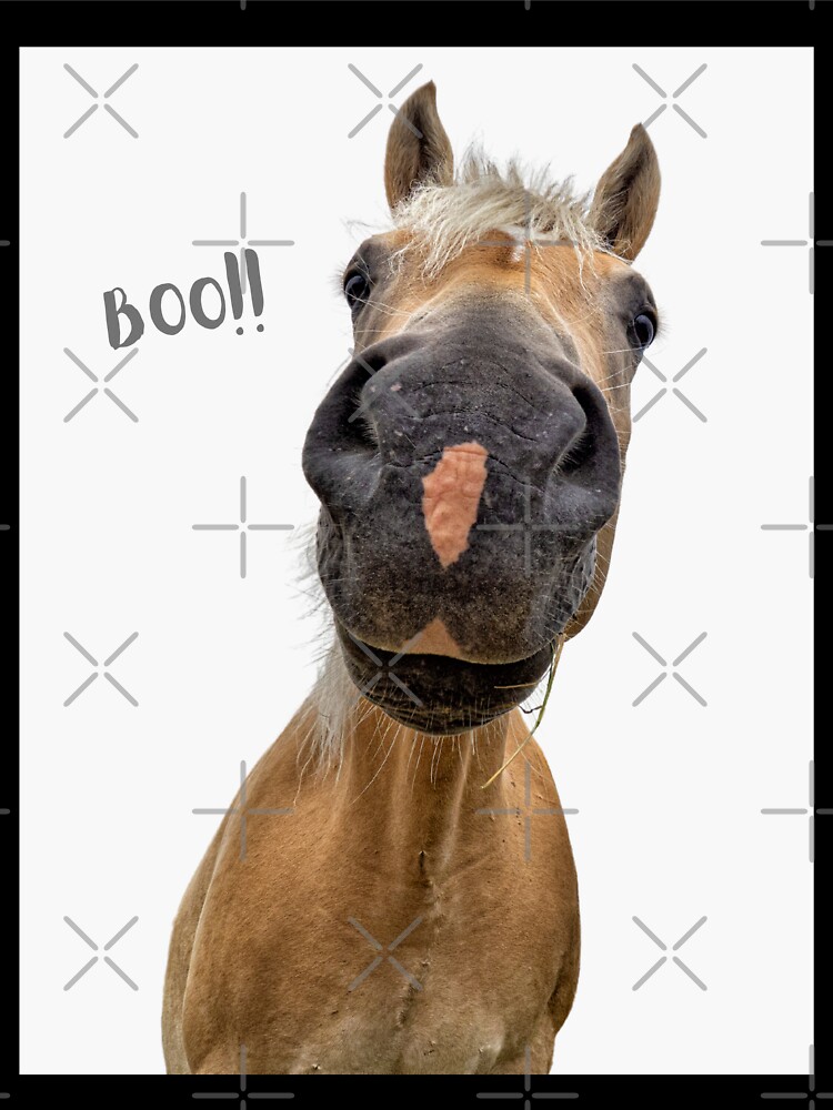 "Funny Photo Bomb Prints Horse Boo! Awesome Novelty Meme Animals ...