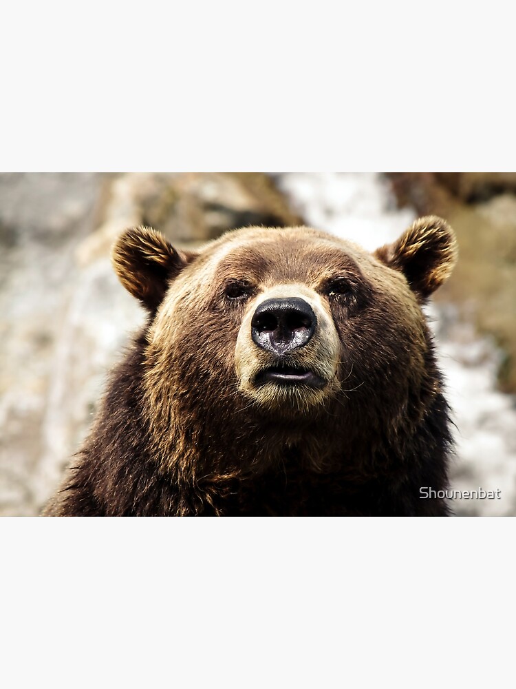 "The Mighty Grizzly Bear" Poster for Sale by Shounenbat | Redbubble