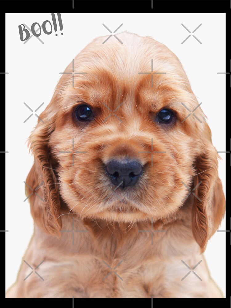 "Funny Photo Bomb Prints Cute Cocker Spaniel Puppy! Awesome Novelty ...