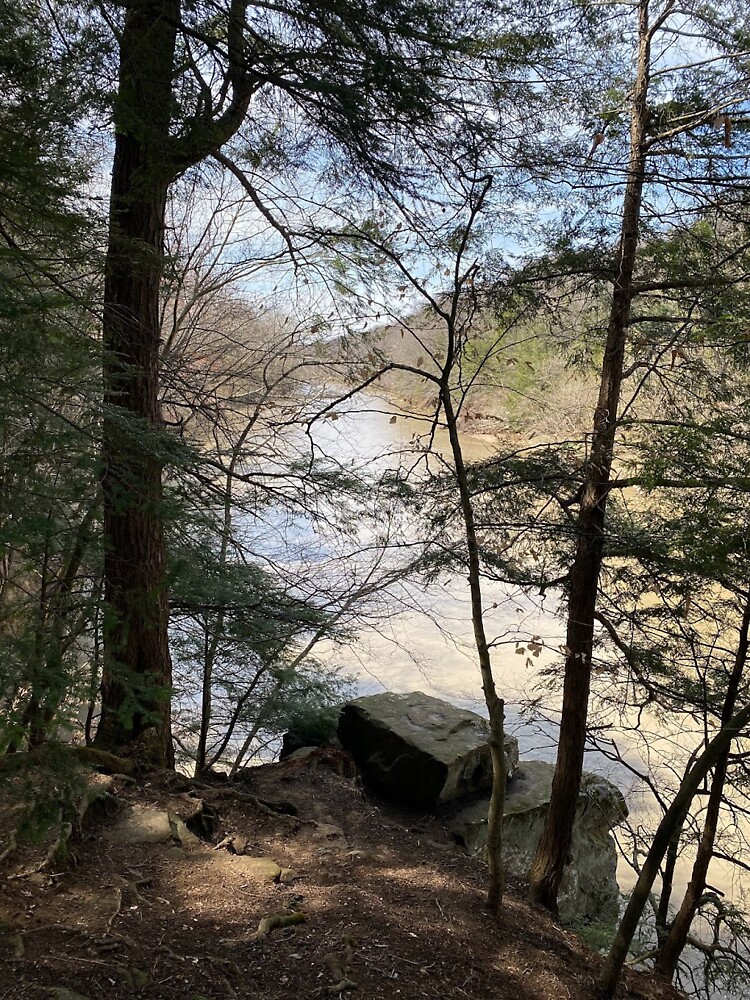 "Turkey Run State Park" Sticker for Sale by bbrimberry | Redbubble