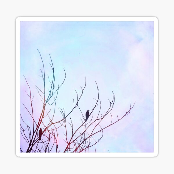 "Dawn" Sticker for Sale by SMSFineArt | Redbubble