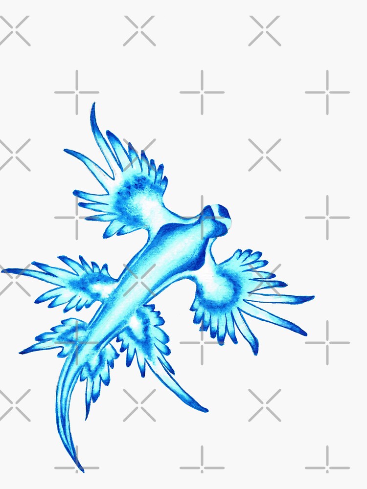 "Glaucus Atlanticus" Sticker for Sale by NyxieDesigns | Redbubble